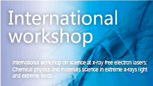 International workshop on science at x-ray free electron lasers ...