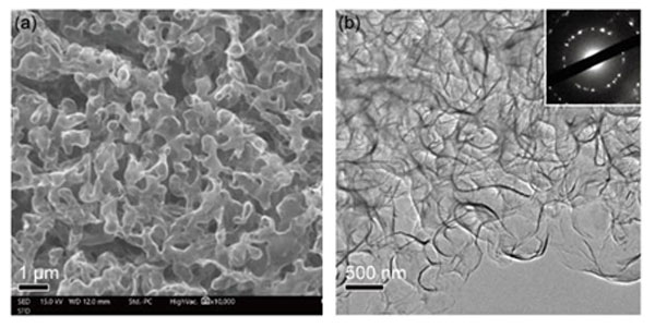 Coexistence of Urbach-Tail-Like Localized States and Metallic ...