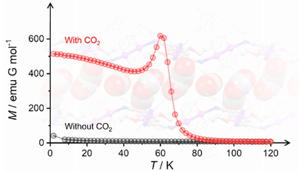 二酸化炭素の吸着で非磁石を磁石に変えることに成功 ガス吸着による磁気スイッチ開発に進展 – 東北大金研 先端エネルギー材料理工共創研究センター
