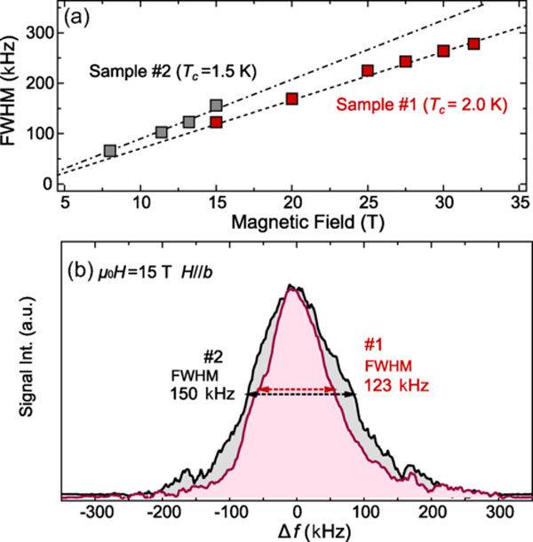 Longitudinal spin fluctuations driving field-reinforced ...