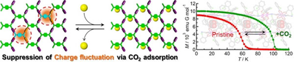Densely Packed CO₂ Aids Charge, Spin, and Lattice Ordering Partially ...
