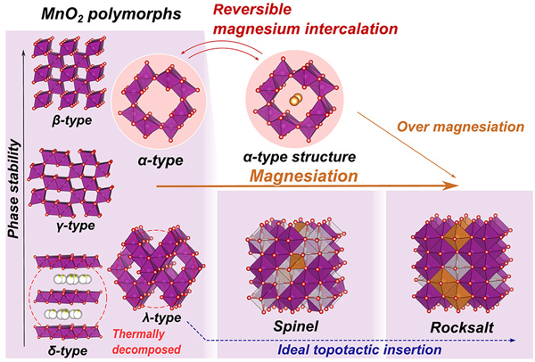 Accelerated kinetics revealing metastable pathways of magnesiation ...