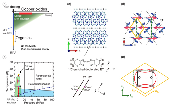 Microscopic evidence for preformed Cooper pairs in pressure-tuned ...