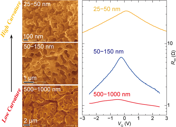 Staying Ahead of the Curve with 3D Curved Graphene｜- IMR - Institute ...