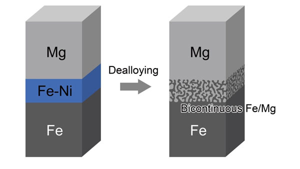Dissimilar Joining of Immiscible Fe–Mg using Solid Metal Dealloying ...
