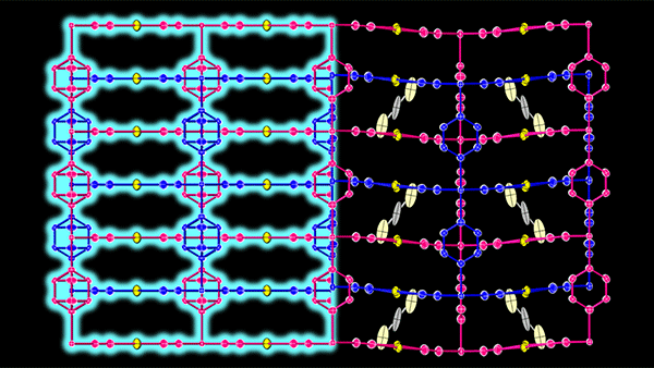 Ultrafast Luminescence Detection with Selective Adsorption of Carbon ...