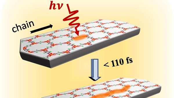 Appearance of a photoinduced hidden state in the electron donor ...